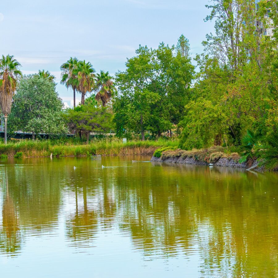 Explore the Ultimate Guide to Diagonal Mar Park Activities in Barcelona